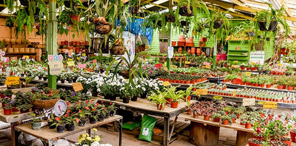 Vivero Botanik, Pasión por Lo Natural – Planos y Estilos